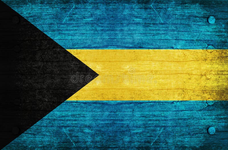 Swimming Pigs of Exuma Cays, Bahamas Stock Photo - Image of tourist ...