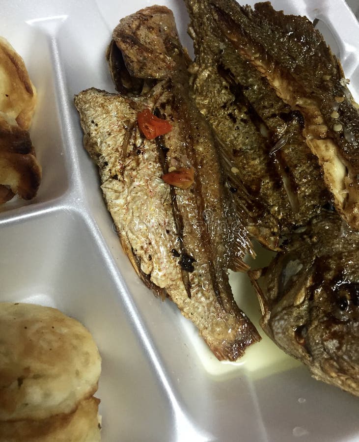 Bahamian Fish Fry stock image. Image of bahamian, typical - 64691749