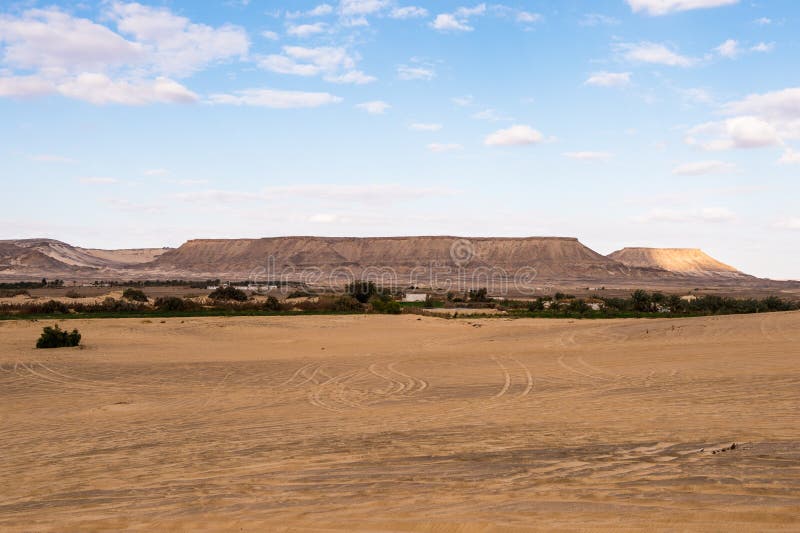 Bahariya Oasis. Egypt stock photo. Image of africa, geology - 49836022