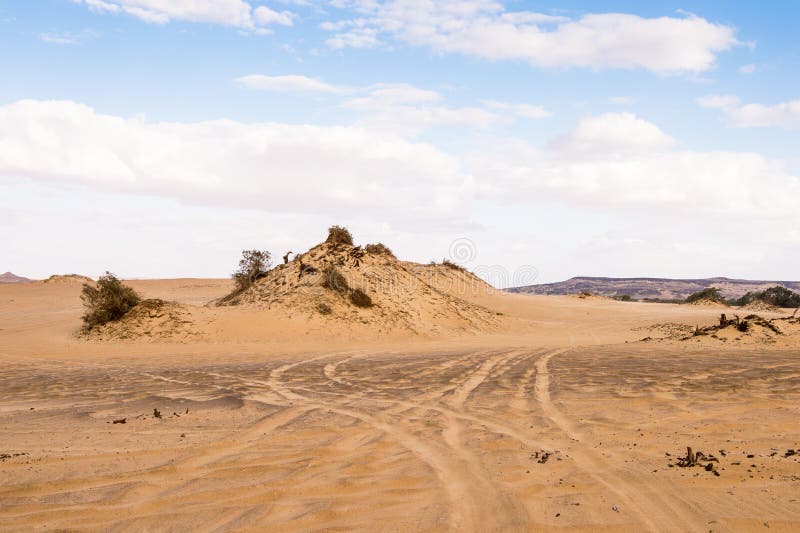 Bahariya Oasis. Egypt stock photo. Image of cliff, panorama - 49836144