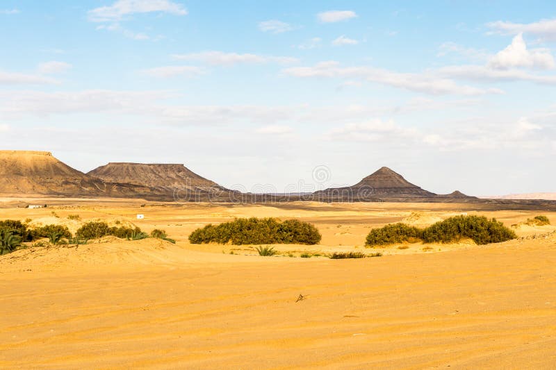 Bahariya Oasis. Egypt stock photo. Image of beauty, panorama - 49836730