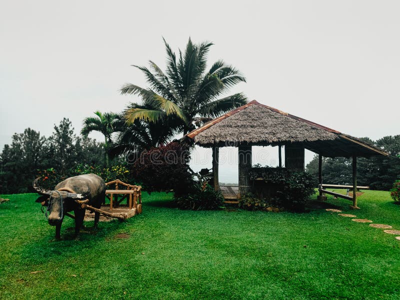 Bahay Kubo Junk Food Stock Photos - Free & Royalty-Free Stock Photos ...