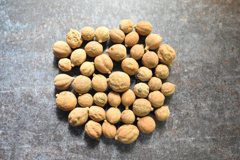 Medicinal Bahera Fruits of India Stock Image - Image of indian, disease ...