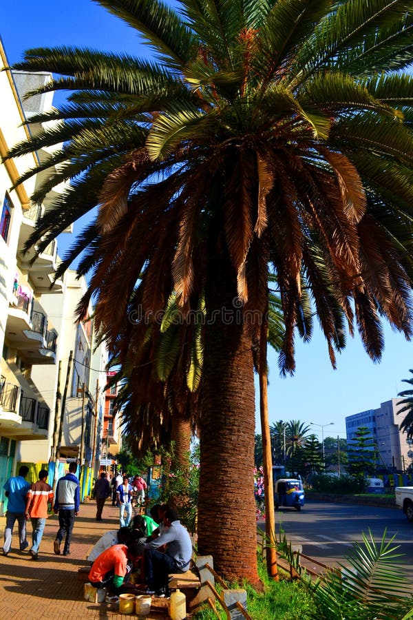 Bahir Dar, Ethiopia editorial photo. Image of travel - 190795331