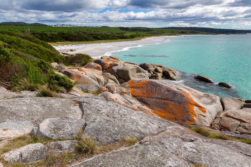 Baia Dei Massi Del Granito Della Tasmania Dei Fuochi Immagine Stock ...