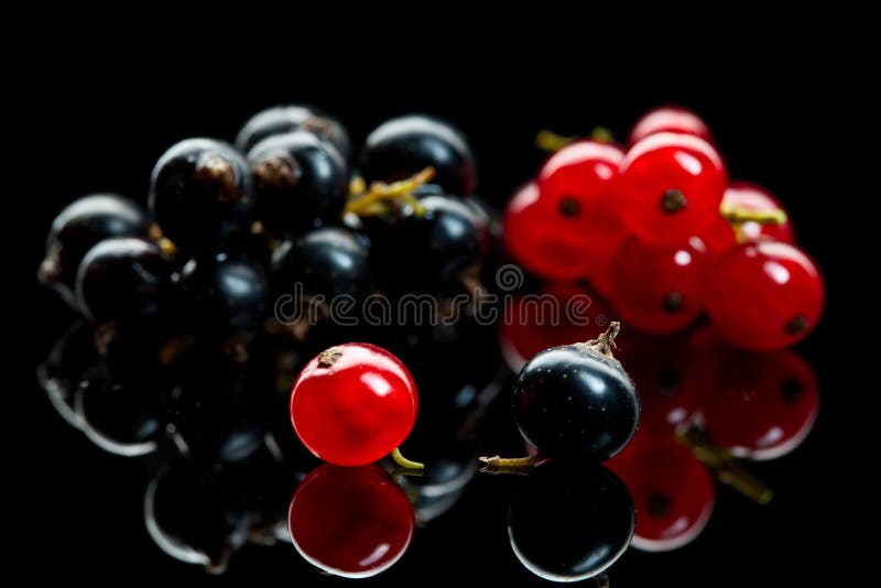 Baie de cassis rouge et image stock. Image du cassis - 17555325