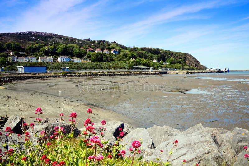 Baie De Fishguard, Pembrokeshire, Pays De Galles Photo stock - Image du ...