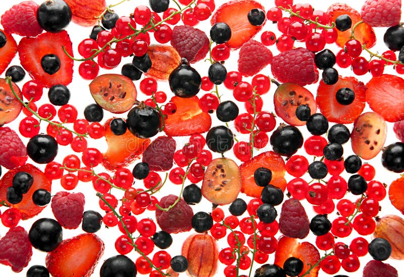 Baie rouge et noire image stock. Image du rouge, framboise - 16432971