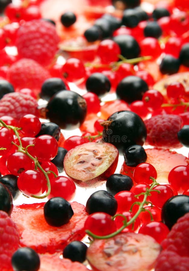 Baie rouge et noire image stock. Image du baie, fond - 17803649