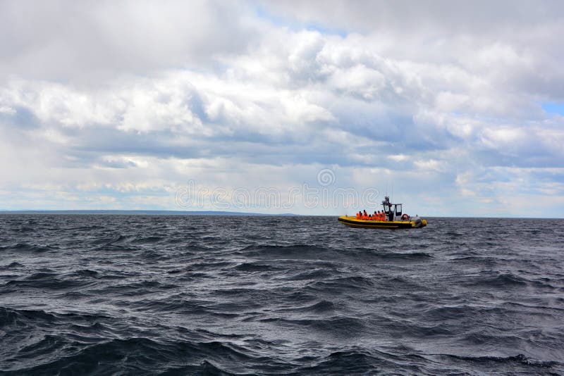 Whales Watching Zodiac in Saint Lawrence River Editorial Photo - Image ... Whales Watching Zodiac in Saint Lawrence River Editorial Photo - Image ...