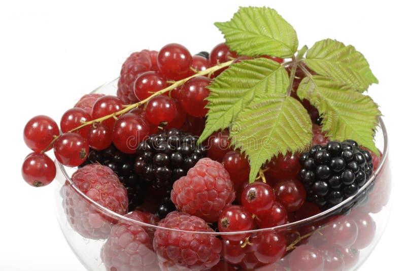 Baies image stock. Image du corinthe, nutrition, dessert - 11135341