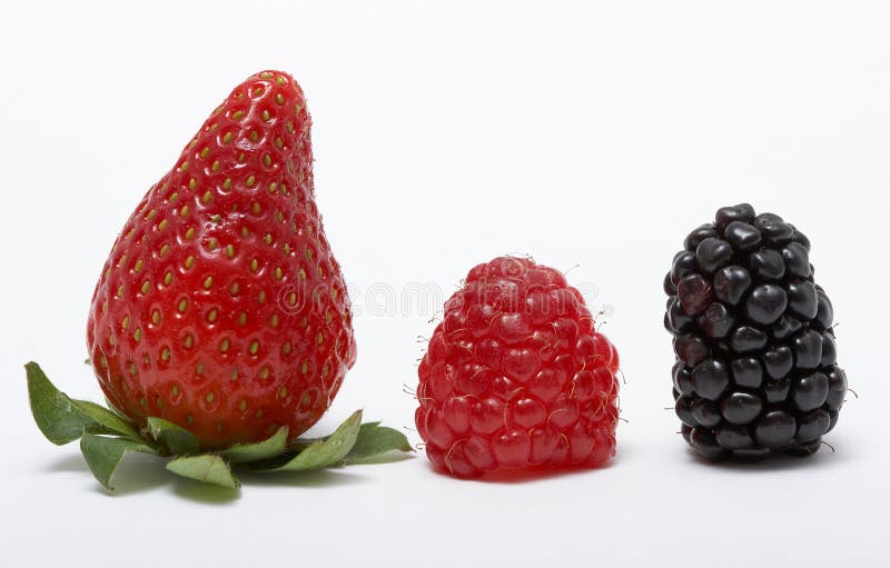 Baies image stock. Image of organique, marché, moisson - 4314557