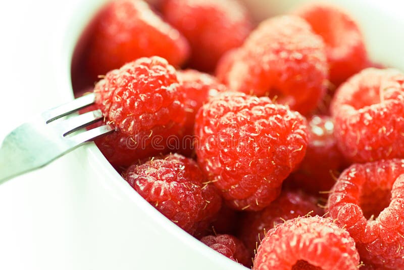 Baies rouges photo stock. Image du baie, baies, fourchette - 21217472