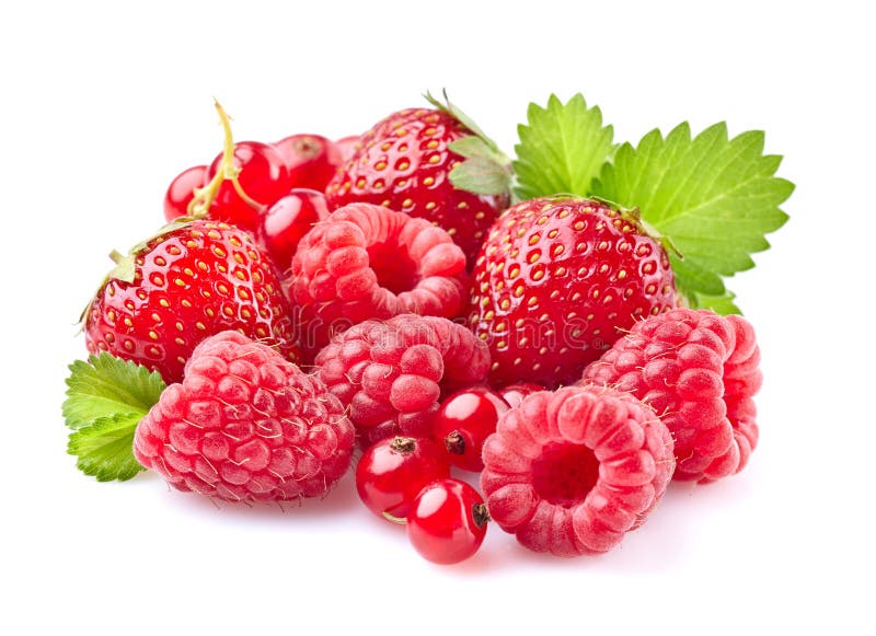 Baies rouges image stock. Image du fond, canneberge, baie - 45309653