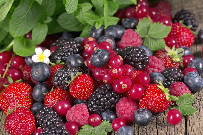 Baies sauvages photo stock. Image du sain, myrtilles - 43942136