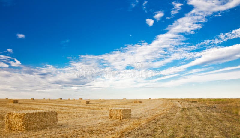 Bailing Hay stock image. Image of wheat, farming, time - 16081939