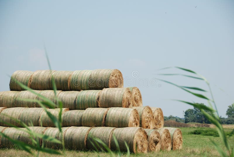 Bails stock photo. Image of space, cereal, rural, straw - 7714942