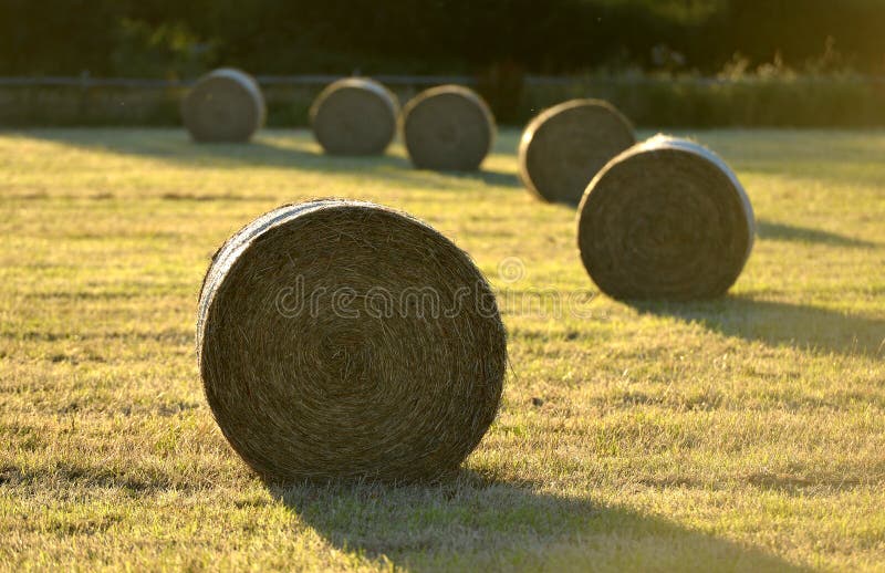 Bails stock photo. Image of farming, feed, agriculture - 75269498