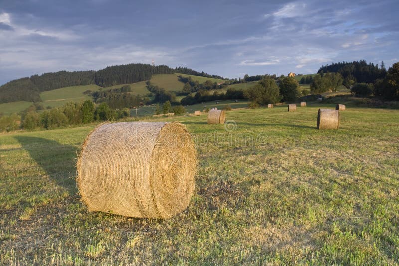Bails of Hay stock image. Image of country, farming, nature - 4992153