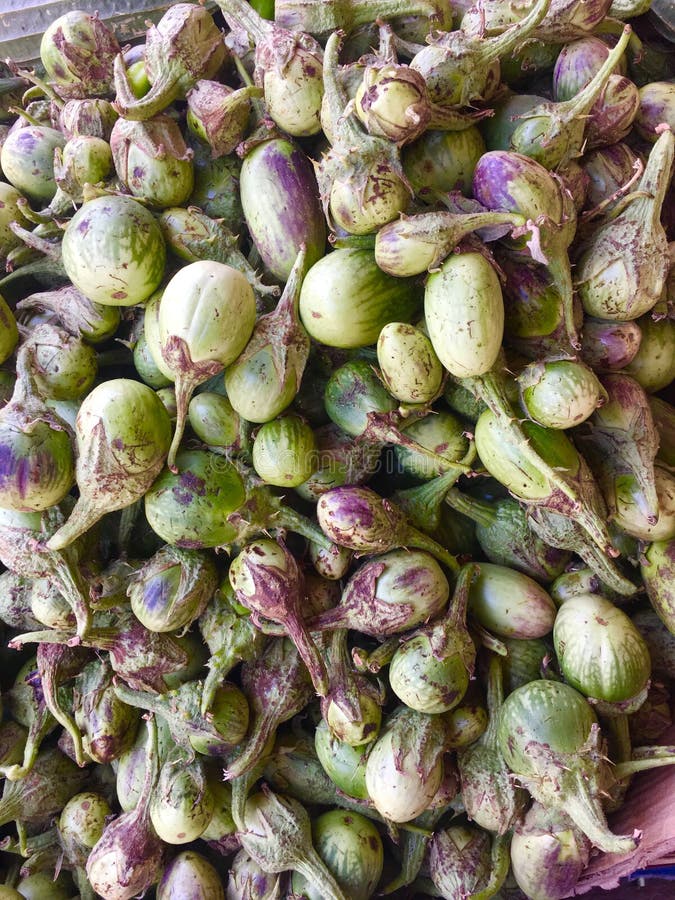 Baingan stock photo. Image of basket, green, food, care - 90279776