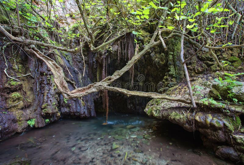 Bains D'Aphrodite Polis, Chypre Photo stock - Image du légende, rocher ...