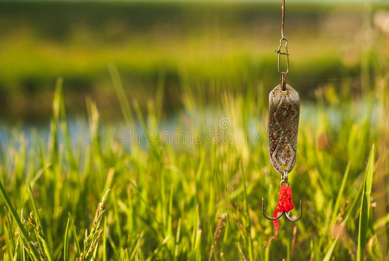 Bait for Catching Fish on a Background of Green Grass Stock Image ...