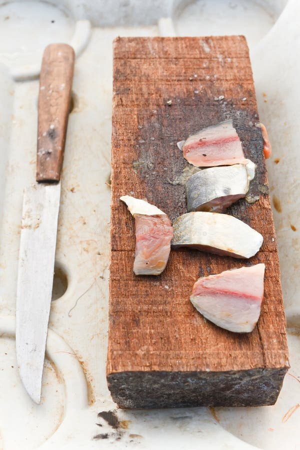 Bait for fishing stock image. Image of dangerous, horizontal - 229164135