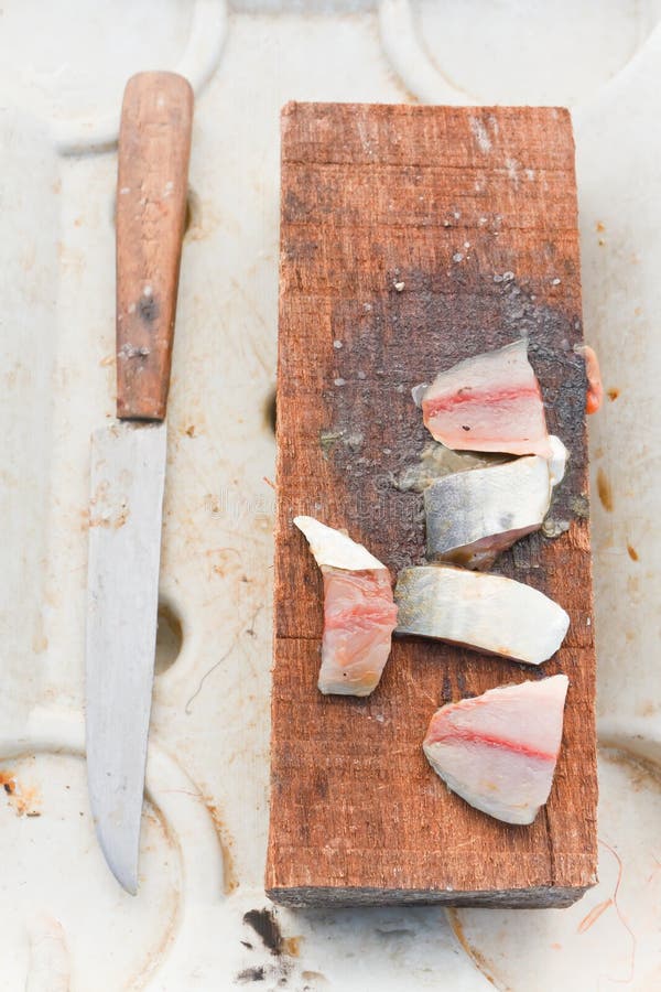 Bait for fishing stock photo. Image of background, bait - 229170632