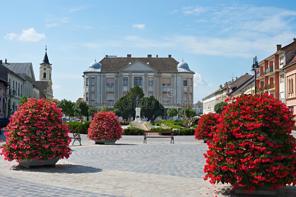 Baja, Hungría imagen de archivo. Imagen de flores, europa - 54880909