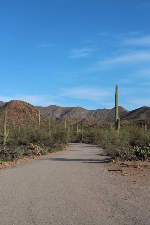 Bajada Loop Drive, a Scenic Road Going through a Desert Landscape with ...