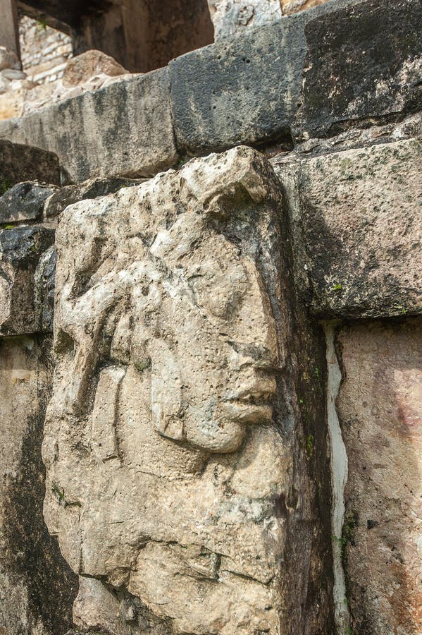 Bajorrelieves En Las Ruinas De Palenque, México Foto de archivo ...