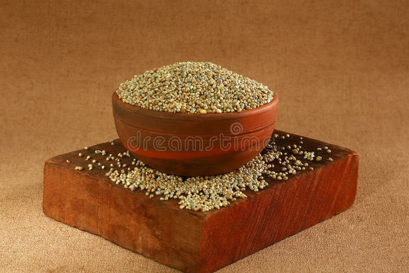 Bajra or Pearl Millet, Indian Mota Anaj Stock Image - Image of index ...