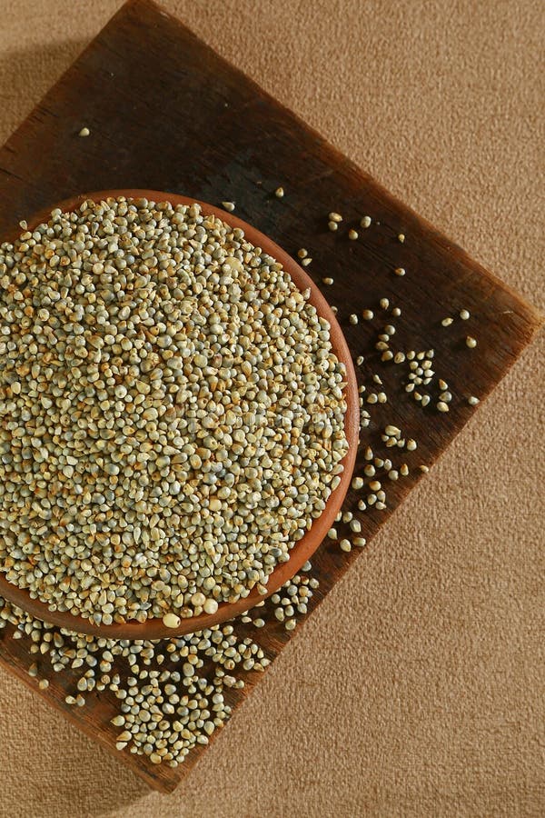 Bajra or Pearl Millet, Indian Mota Anaj Stock Image - Image of india ...