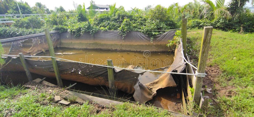 Bak water contain stock photo. Image of water, land - 267039866