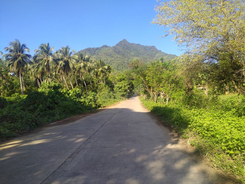 Bakasyon stock image. Image of mountain, leaf, brookes - 279763979
