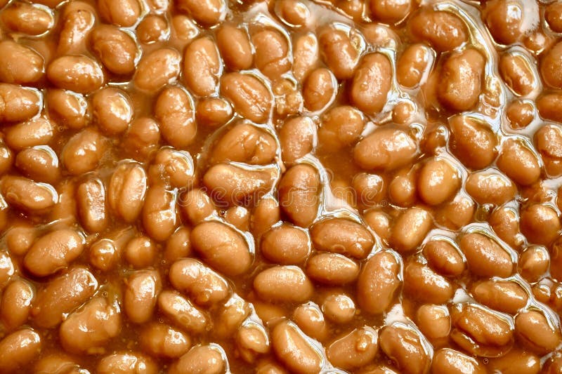 Baked beans stock photo. Image of vegan, food, barbecue - 286712860