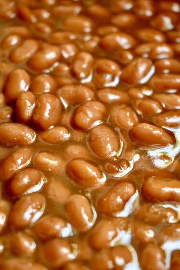 Baked beans stock image. Image of vegetarian, side, dish - 286712865