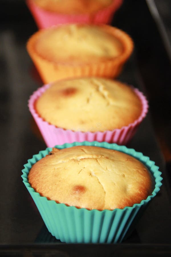 Baked Biscuit Muffins with Raisins in Multi-colored Silicone Molds ...