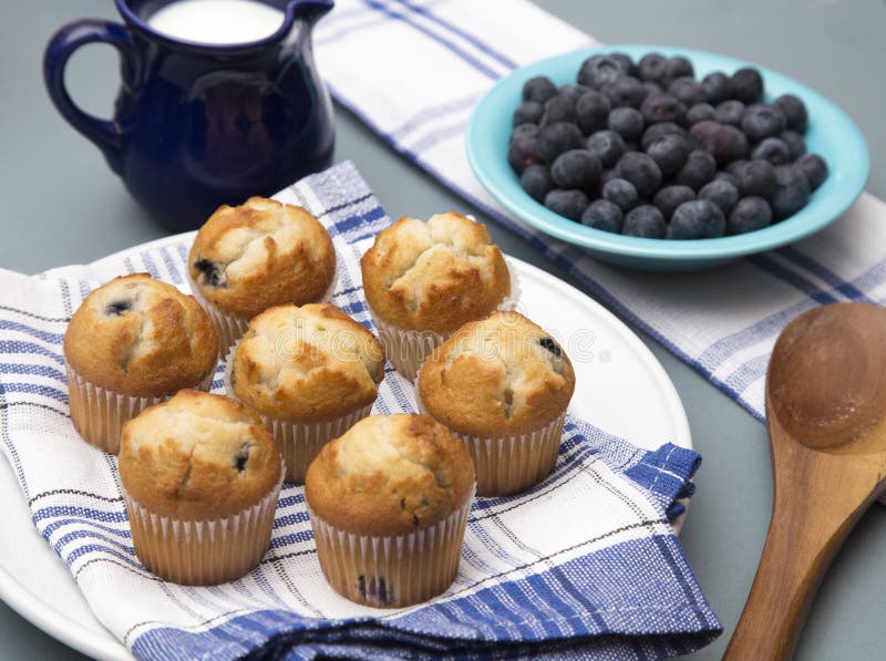 Classic Blueberry Muffins stock image. Image of muffins - 120575677