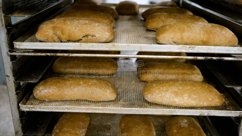 Freshly Baked Every Day. Production Stand with Bread. Baked Bread on ...
