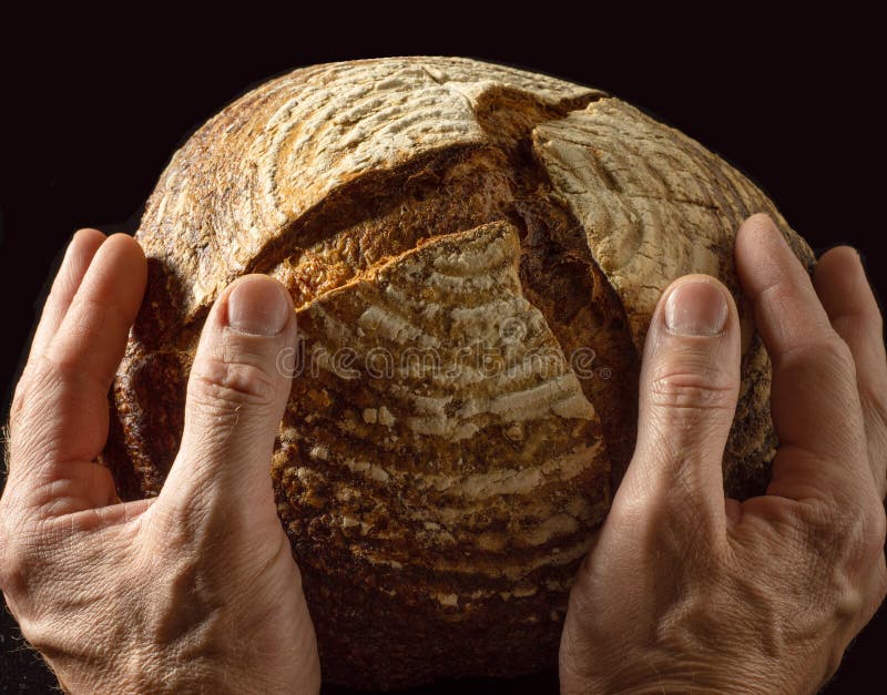 Baked Buckwheat Bread in Hands of a Man Stock Image - Image of concept ...