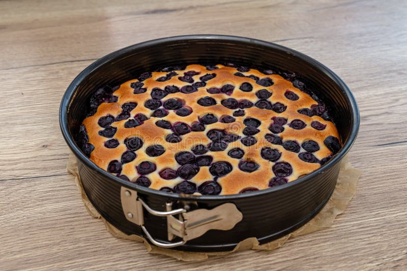 Baked Cake in a Round Form with Bilberry, Lying on a Wooden Table ...