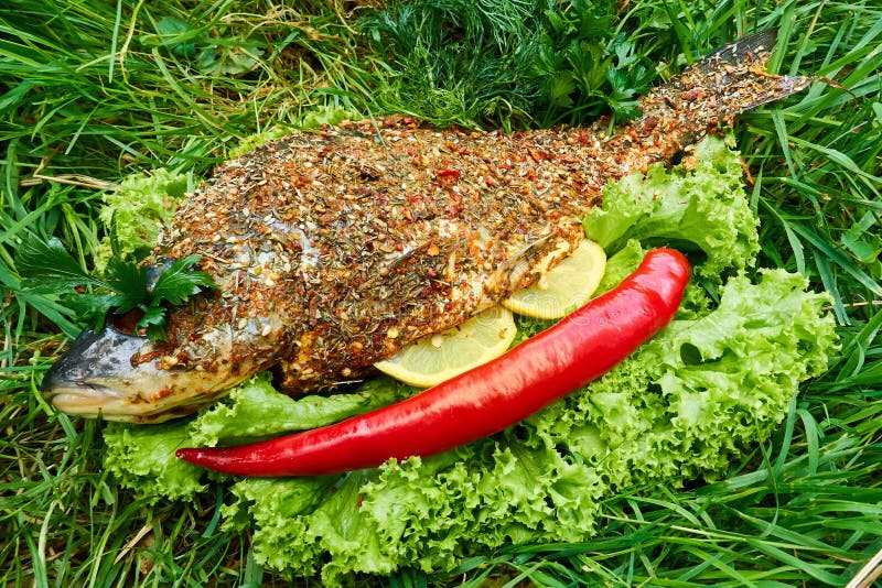 Baked Carp with Spices and Vegetables on Fire on Green Background Stock ...