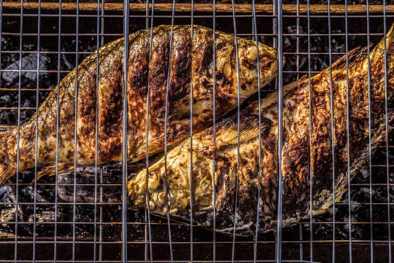 Baked on Charcoal Grill Carp Fish Stock Image - Image of charcoal, bake ...