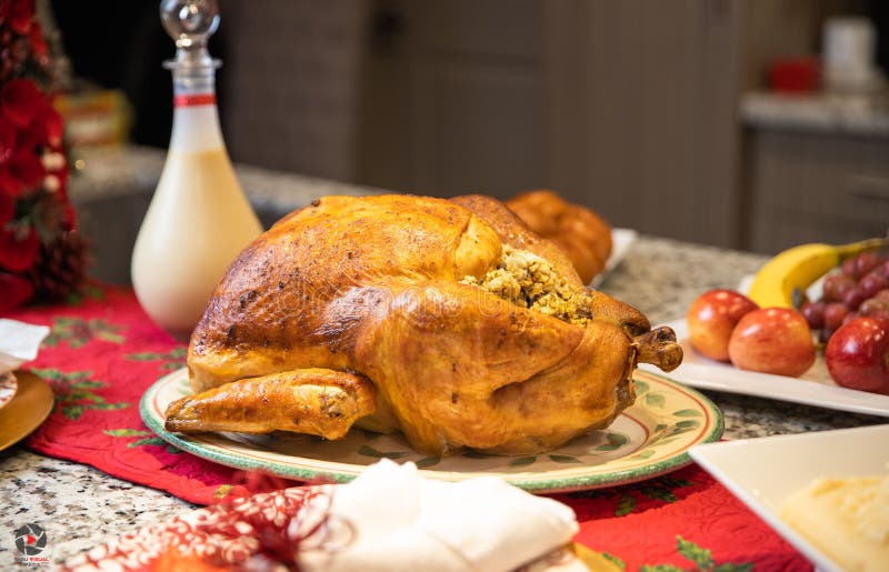 Baked chicken on plate stock photo. Image of prepared - 263501402