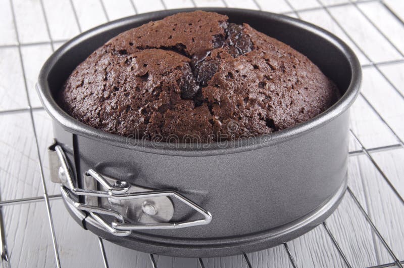 Baked Chocolate Cake in a Baking Tin Stock Image - Image of dough ...