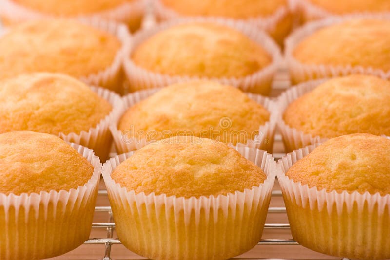 Baked Cupcakes on a Cooling Rack Stock Photo - Image of field, objects ...