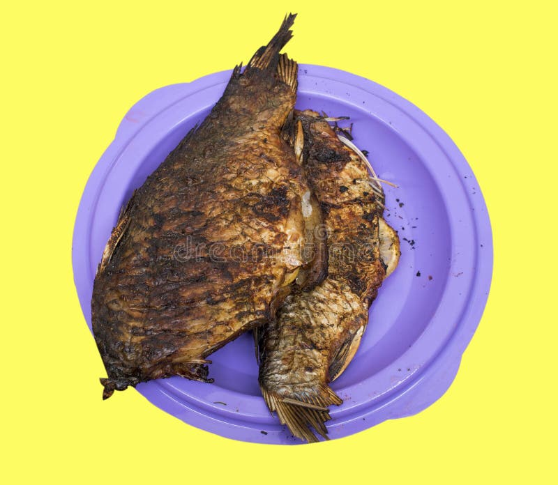 Baked fish on the plate stock photo. Image of vacation - 94313482