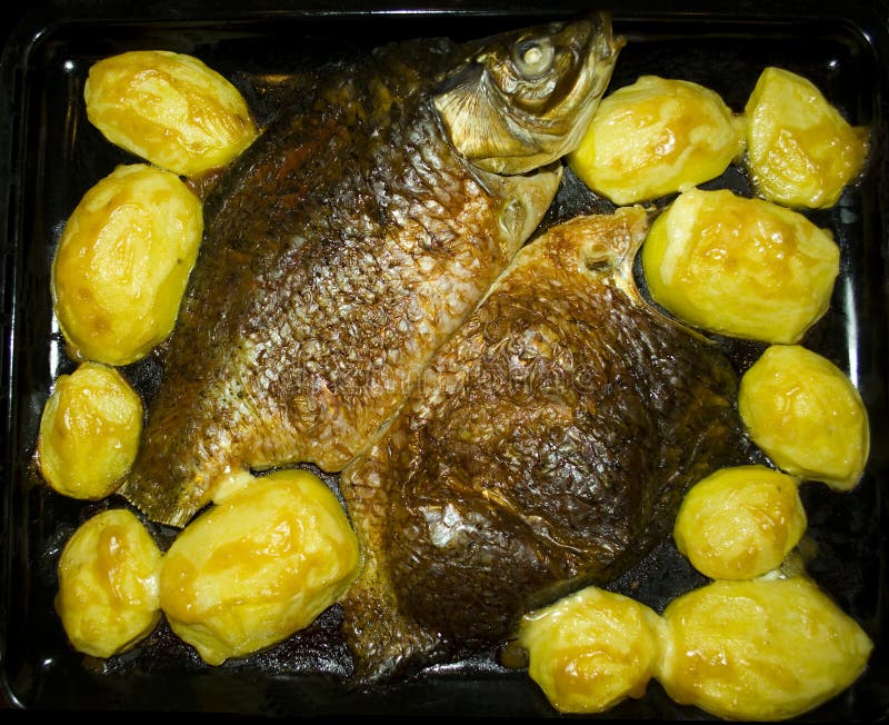 Baked fish with potatoes stock photo. Image of cuisine - 19309358