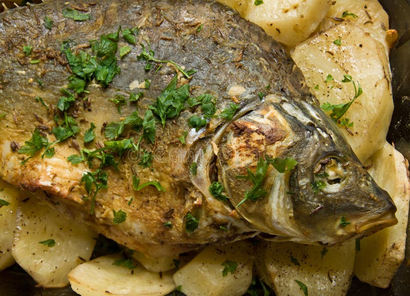 Baked fish and potatoes stock photo. Image of culinary - 27427962